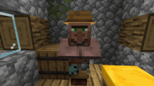 Minecraft: Top 10 Best Villagers To Trade With - QTopTens