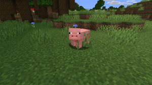 10 Best Animal Mobs in Minecraft - QTopTens
